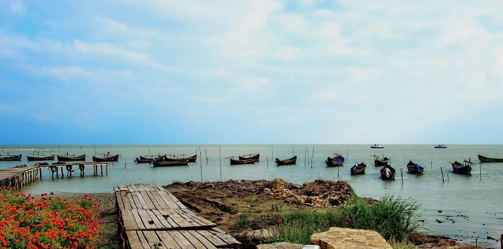 Discover the Pristine Beauty of the Danube Delta
